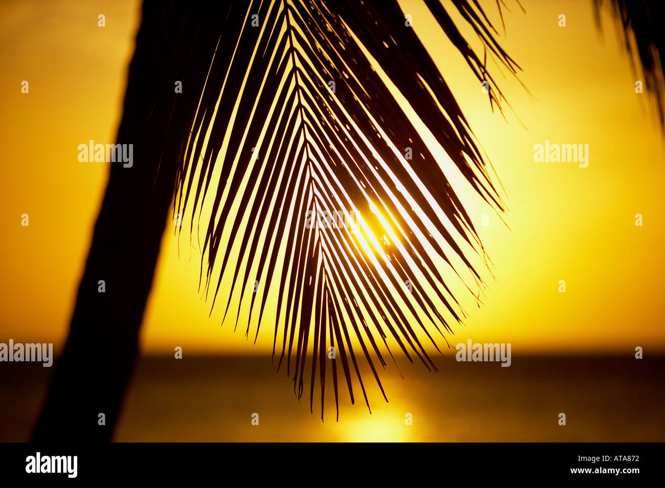 Sonaisali fiji hi-res stock photography and images - Alamy