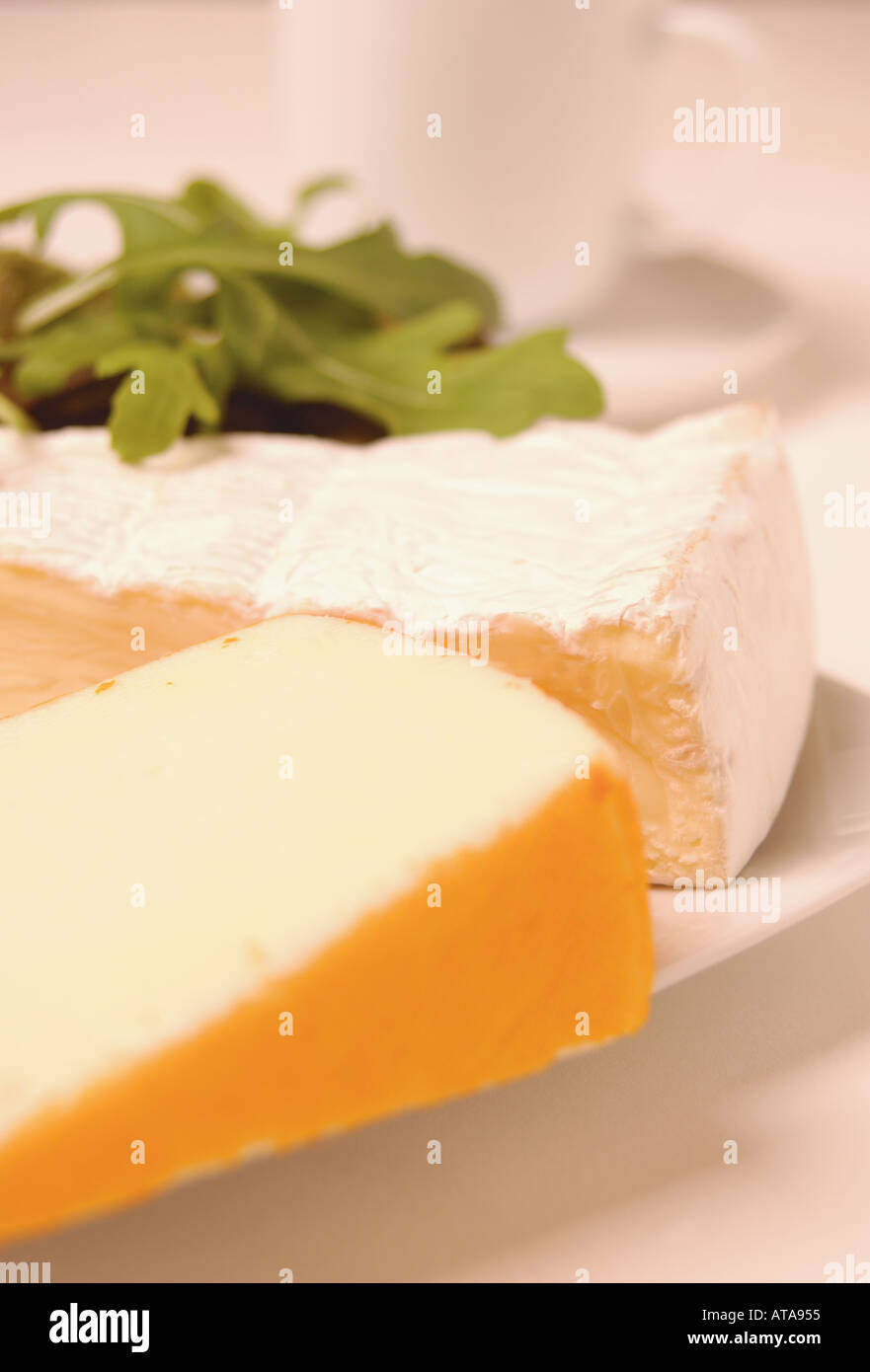 Selection of cheeses cheese close up Stock Photo - Alamy