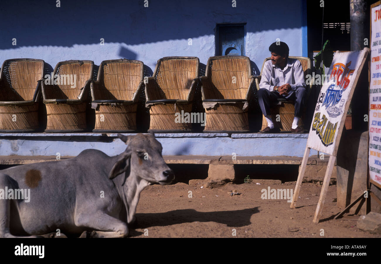 Man resting with cow hi-res stock photography and images - Alamy