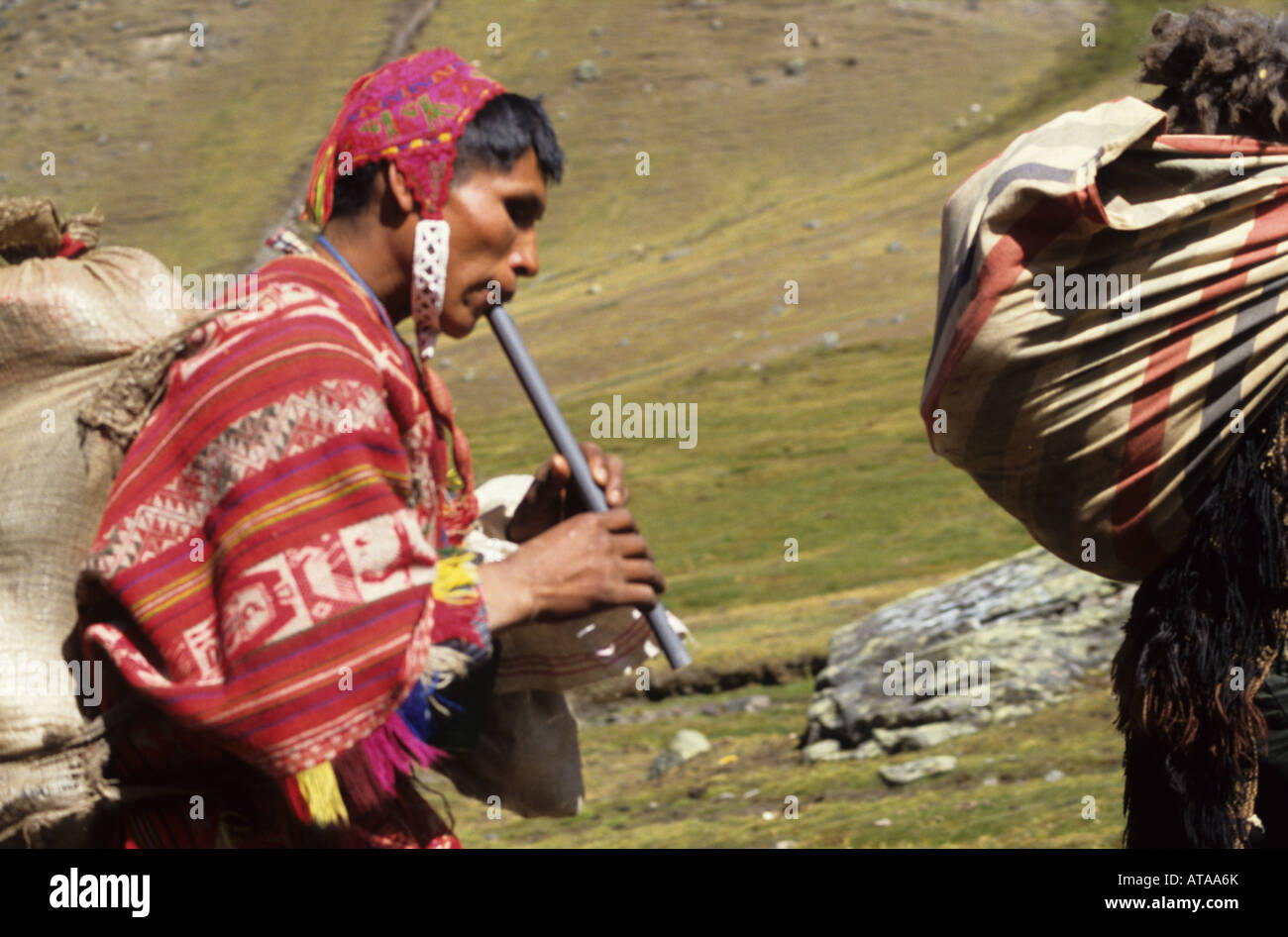 Native Quechua indian playing the quena traditional flute in Cuzco ...