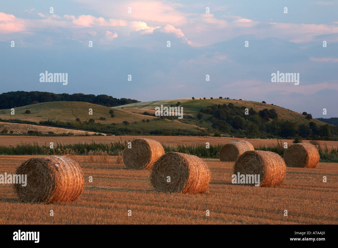 Round Hay bales Stock Photo - Alamy