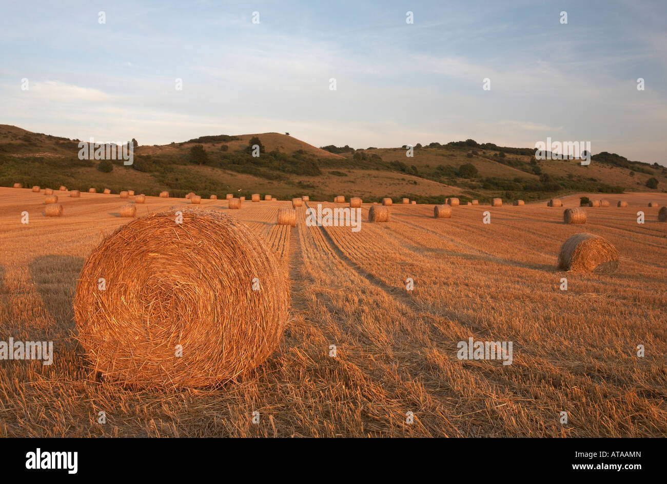 Round Hay bales Stock Photo - Alamy