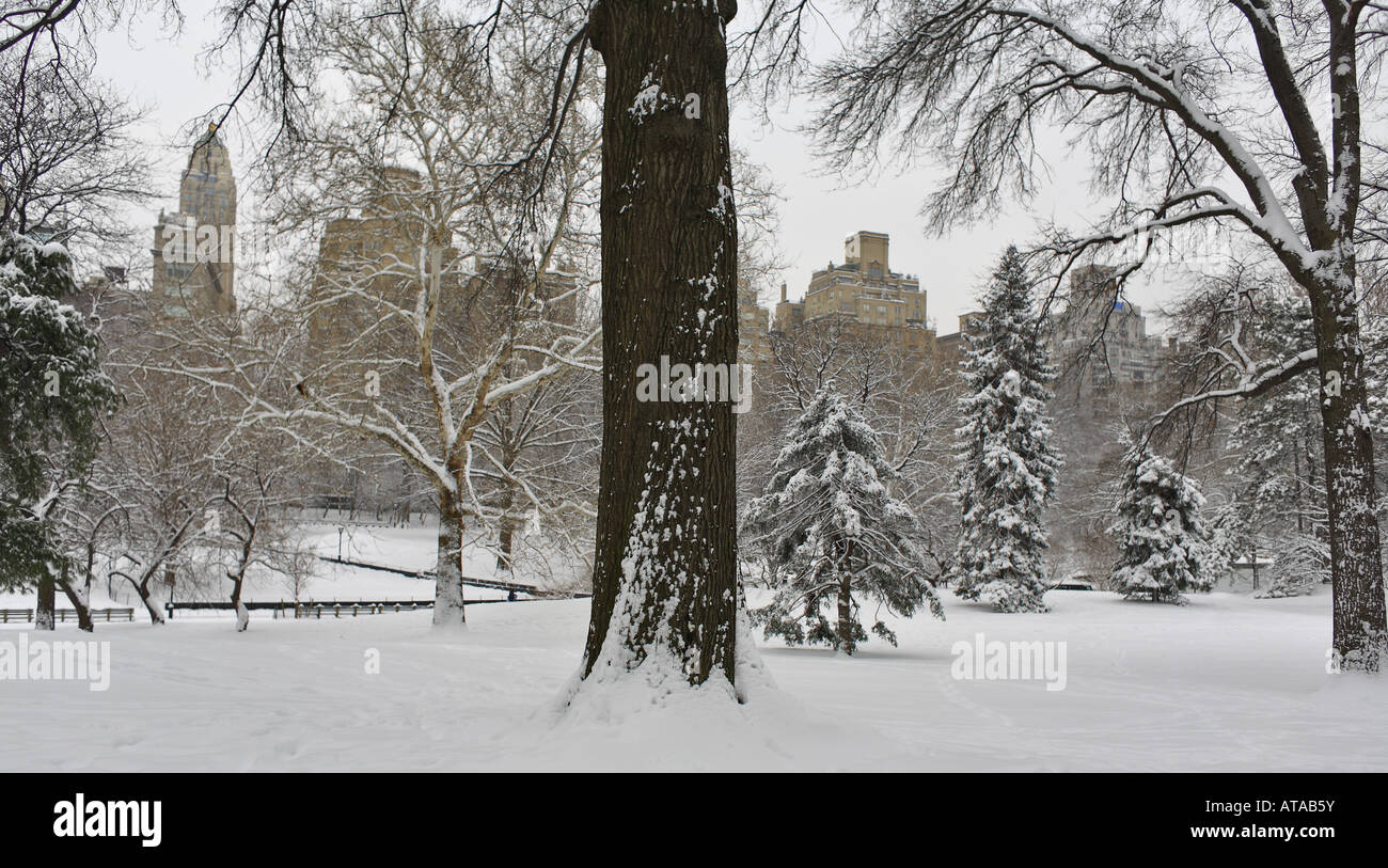 Snow storm in central park Stock Photo - Alamy