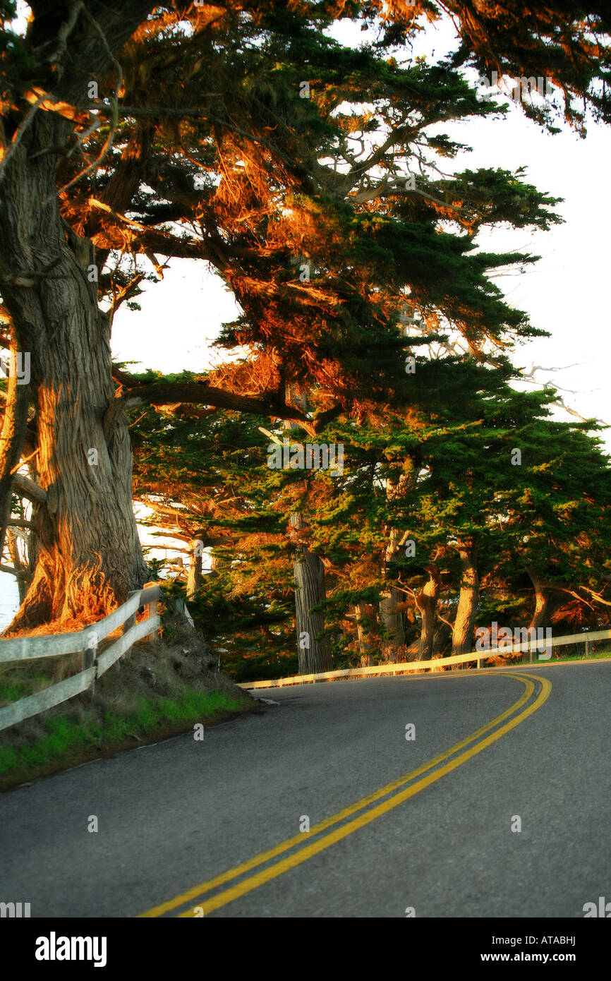 The 17 Mile Drive is a popular tour through Pebble Beach California ...