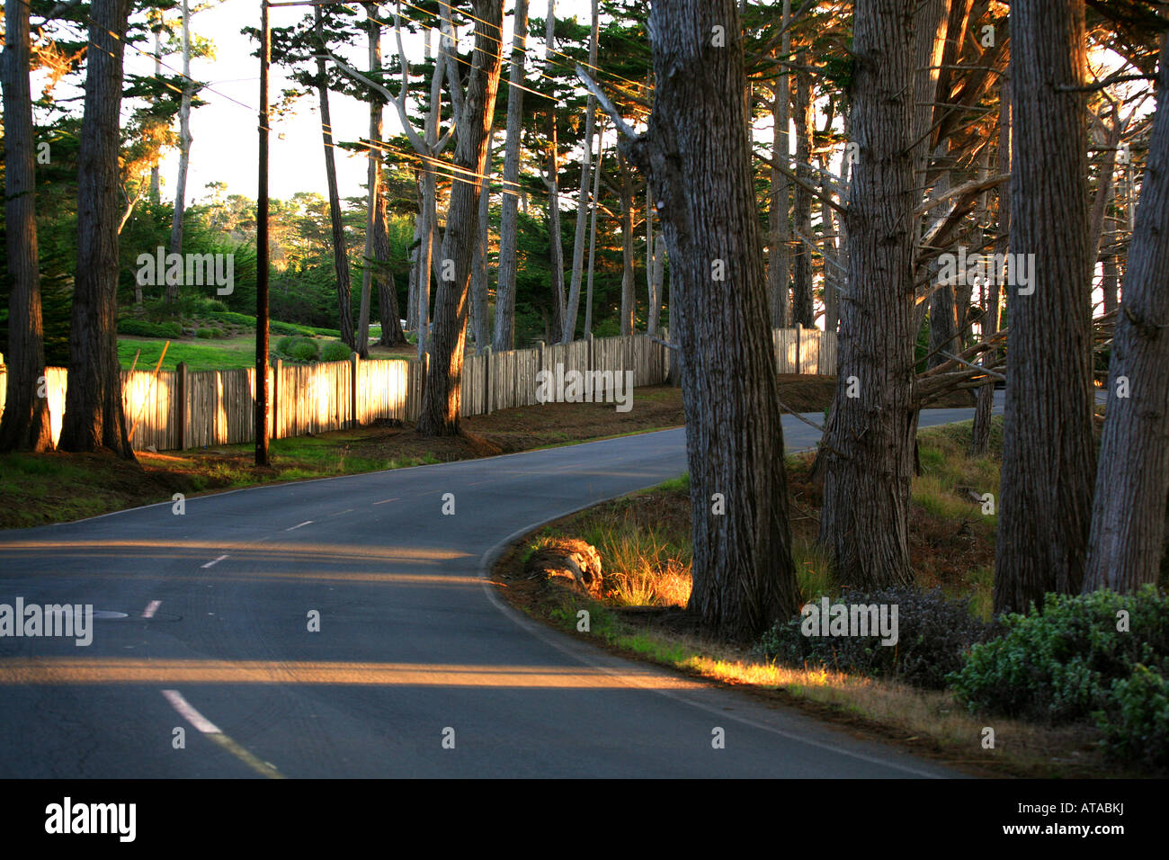 The 17 Mile Drive is a popular tour through Pebble Beach California ...