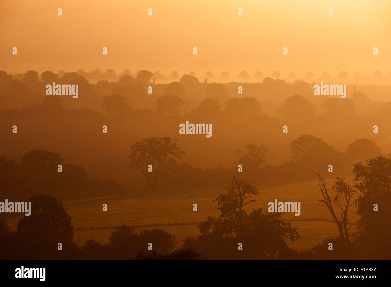 Misty dawn over fields and trees Stock Photo - Alamy