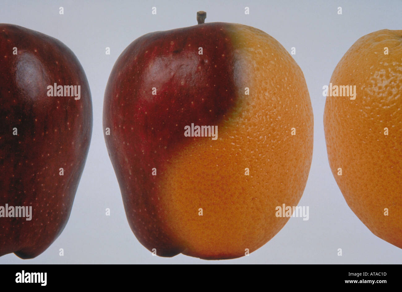 Apple Orange montage Computer montage Stock Photo - Alamy