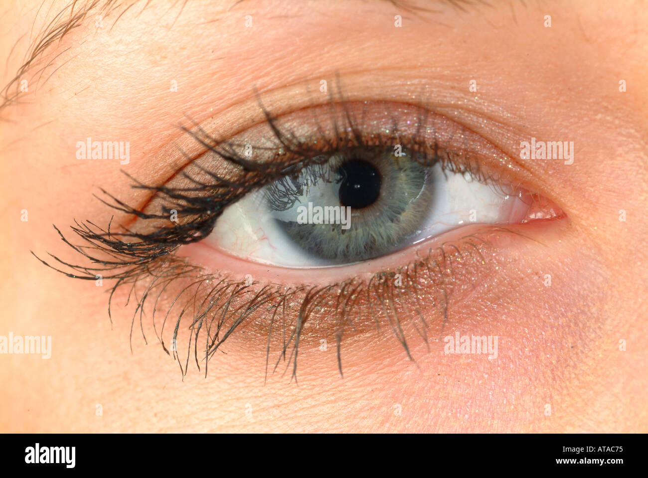 Womans eye gazing straight hi-res stock photography and images - Alamy