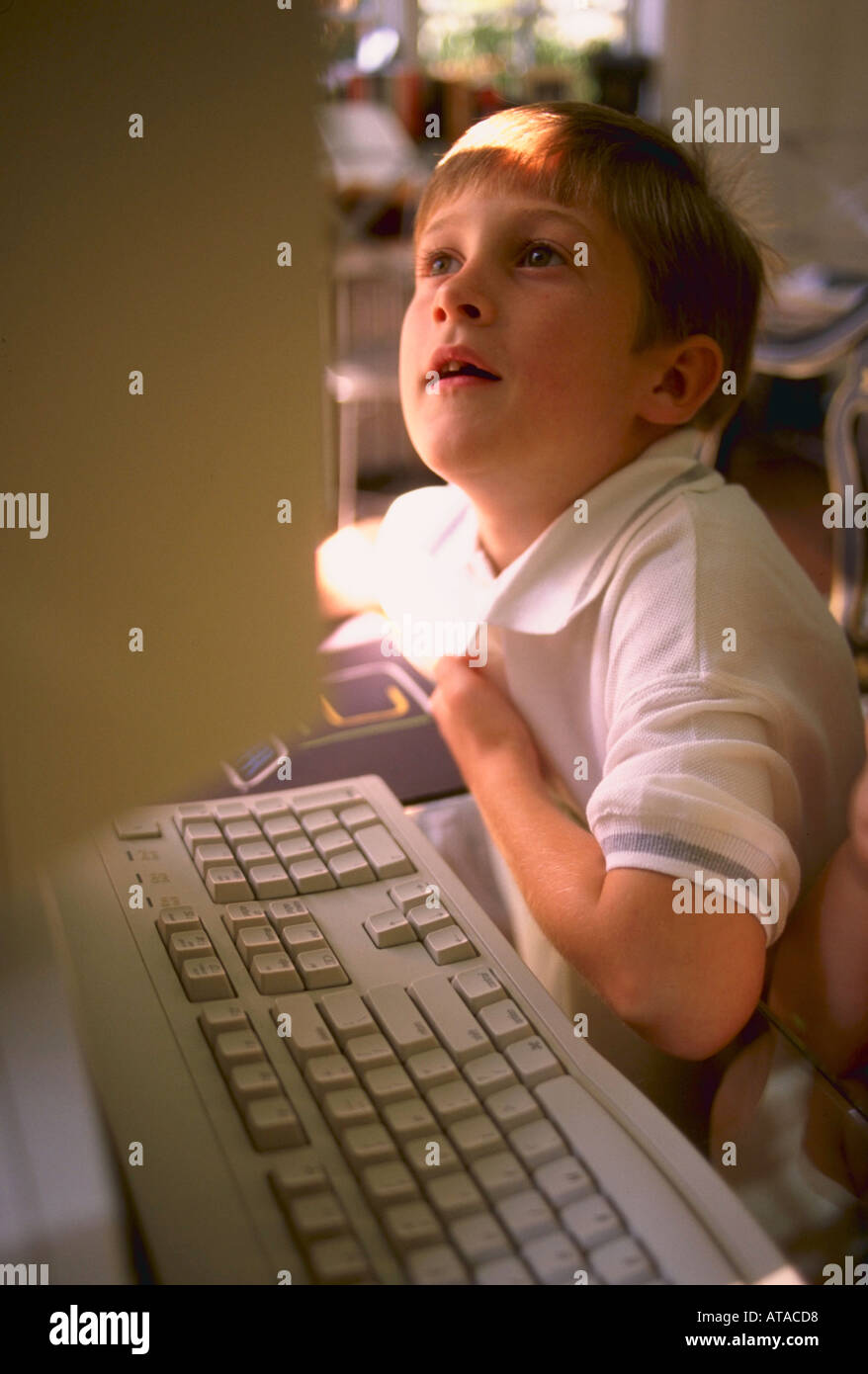 Young boy looking at computer screen Stock Photo - Alamy