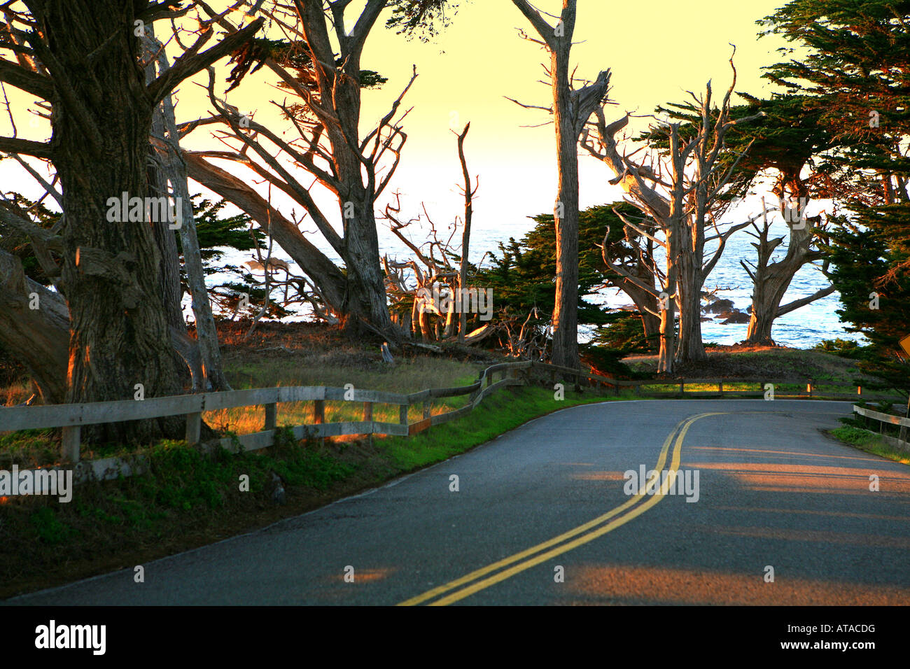The 17 Mile Drive is a popular tour through Pebble Beach California ...