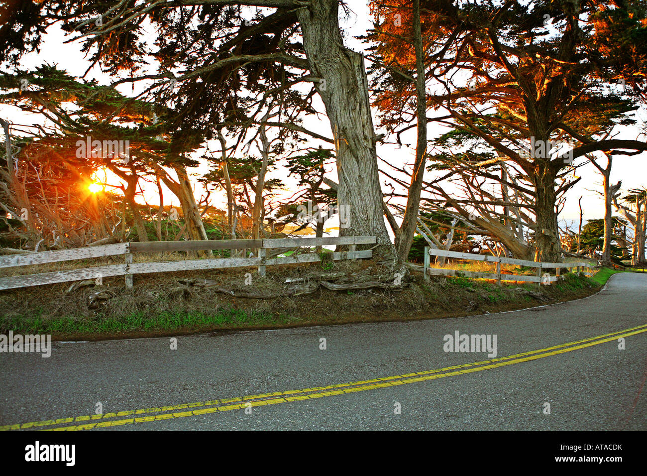 The 17 Mile Drive is a popular tour through Pebble Beach California ...