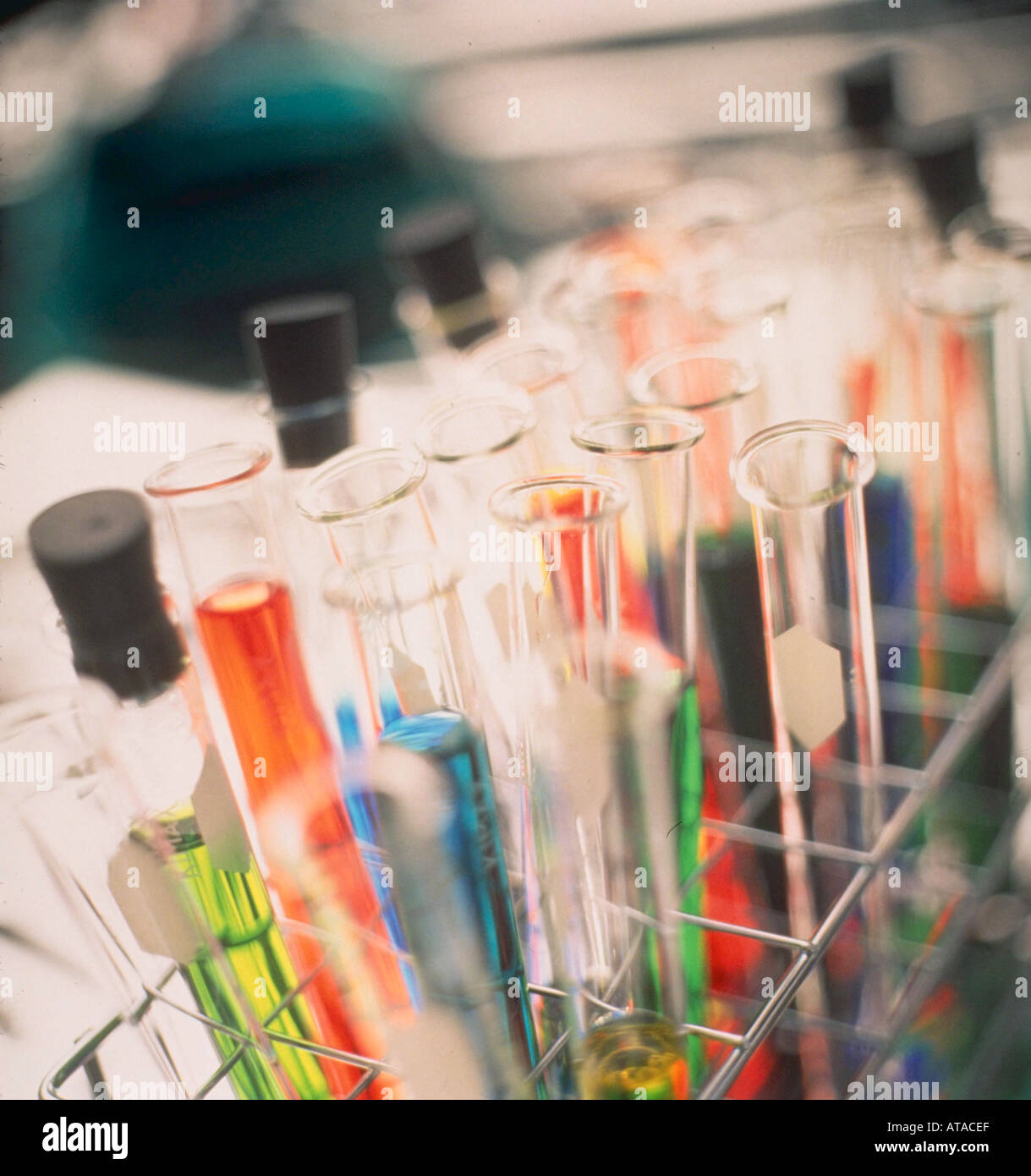Laboratory test tubes in metal racks Stock Photo - Alamy