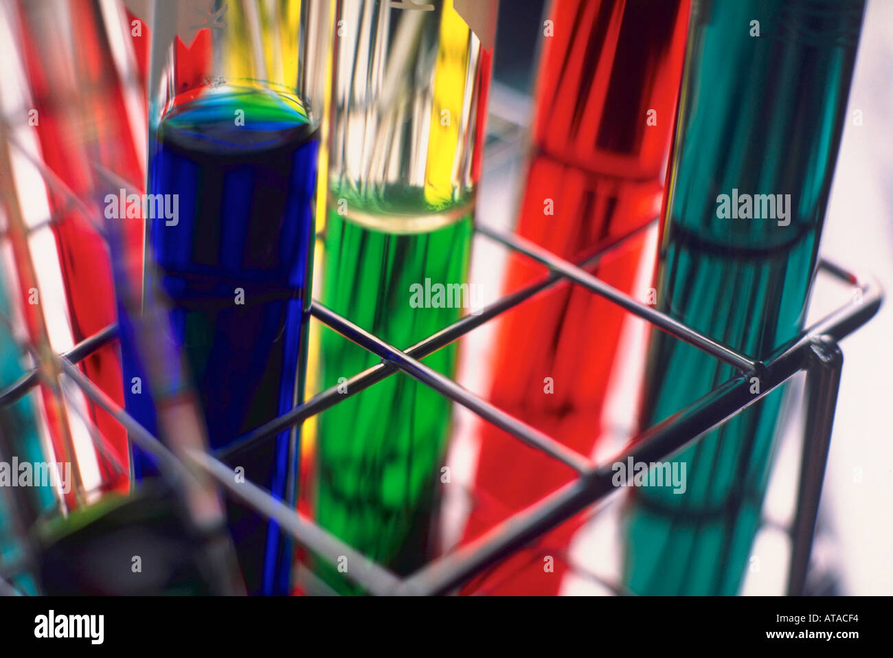 Laboratory test tubes in metal racks Stock Photo - Alamy