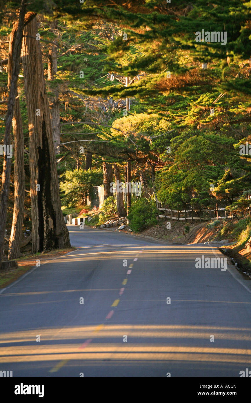 The 17 Mile Drive is a popular tour through Pebble Beach California ...