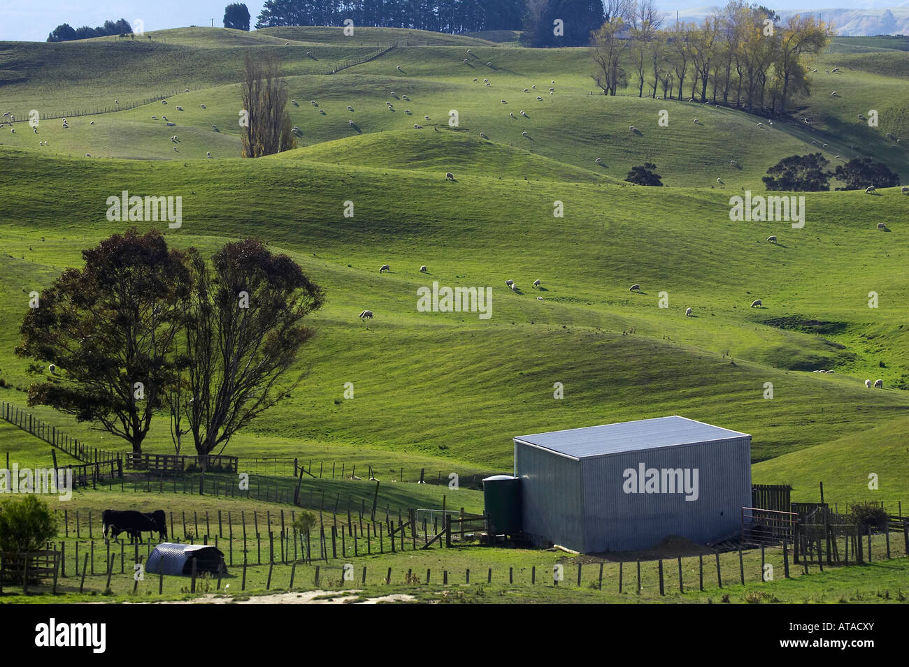 Taihape Stock Photos & Taihape Stock Images - Alamy