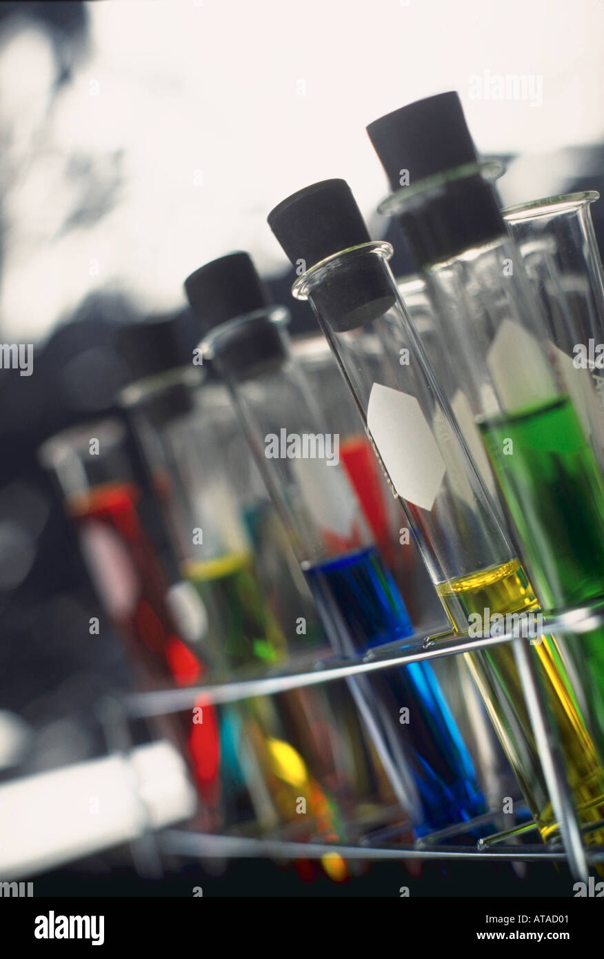 Laboratory test tubes in metal racks Stock Photo - Alamy