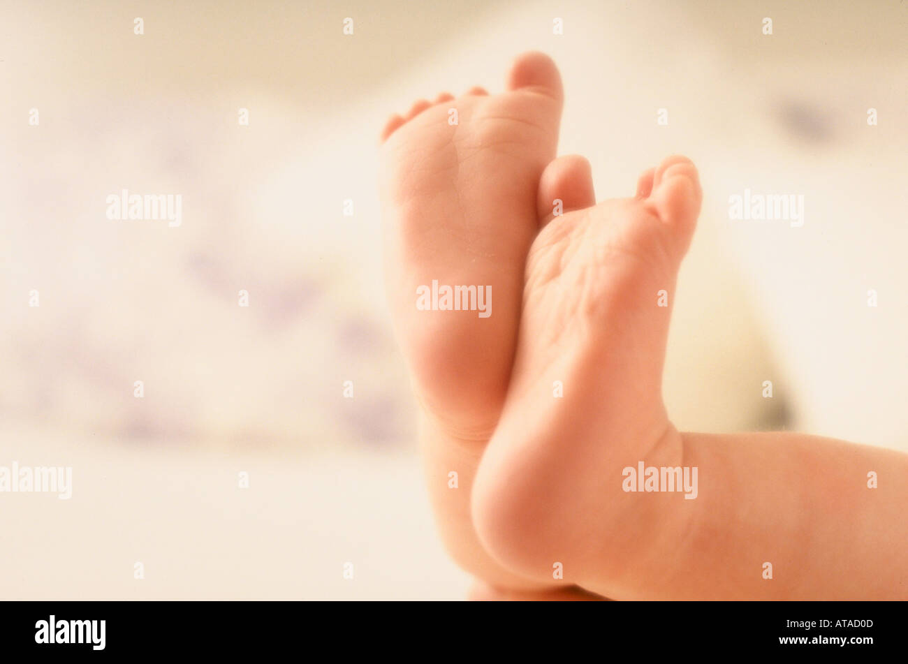 Infant boy feet Stock Photo - Alamy