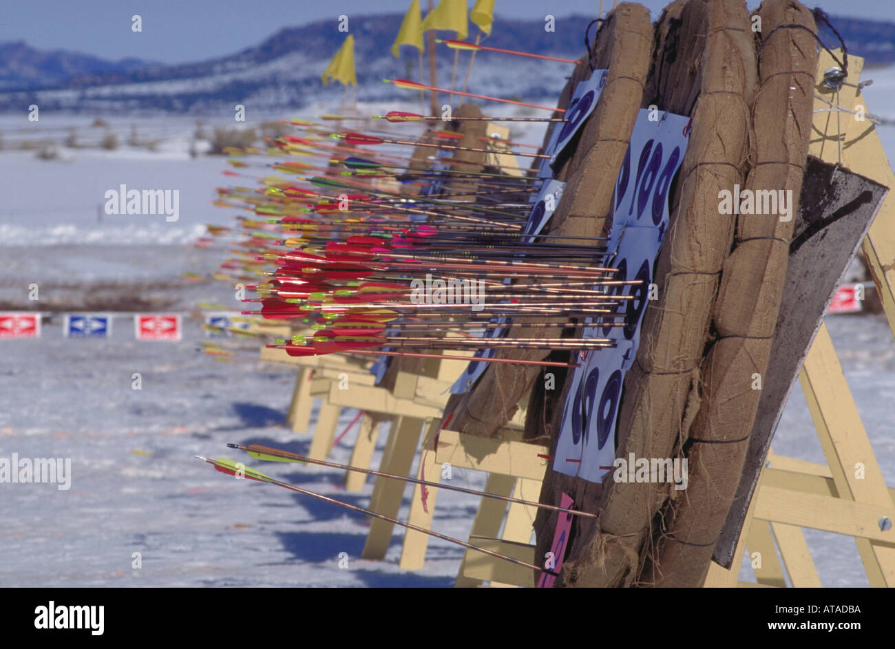 Arrow protrude from several targets that are lined up in the snow on ...