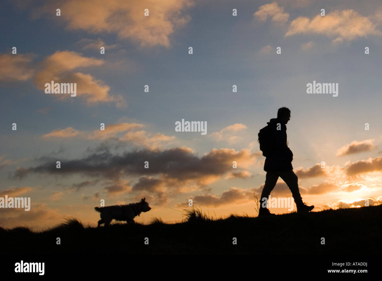 man and dog walking Stock Photo - Alamy