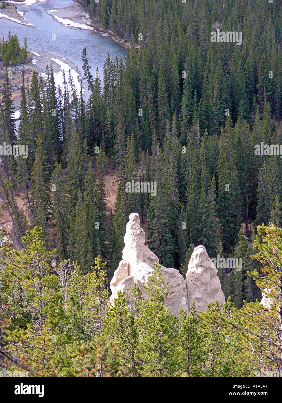 The Hoodoos Banff National Park Alberta Canada pillars Bow River Valley ...