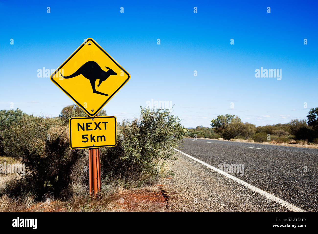 Kangaroo crossing sign by road in rural Australia Stock Photo - Alamy