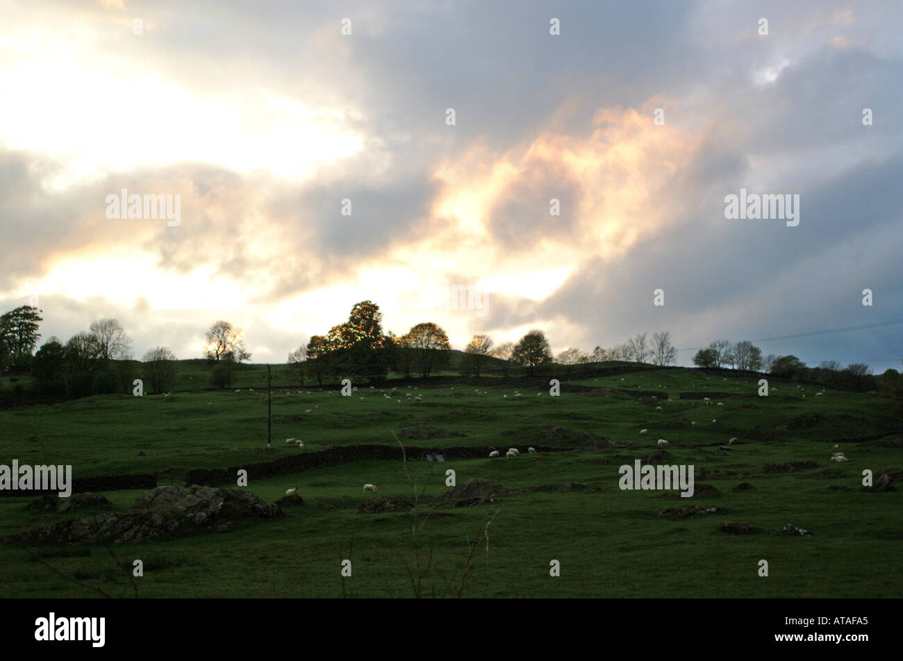 A hillside in Crook Cumbria England Stock Photo - Alamy