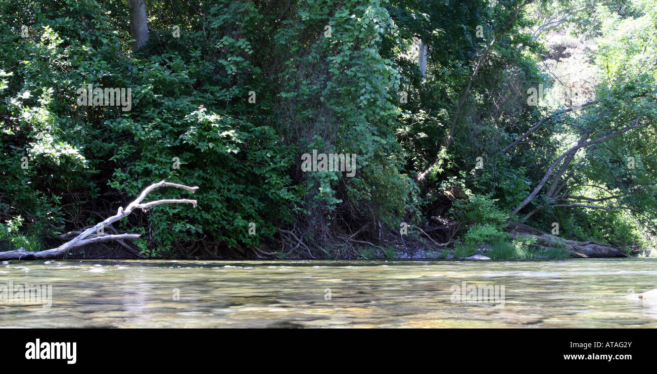 Big Chico creek flowing through Bidwell Park in the California city of ...
