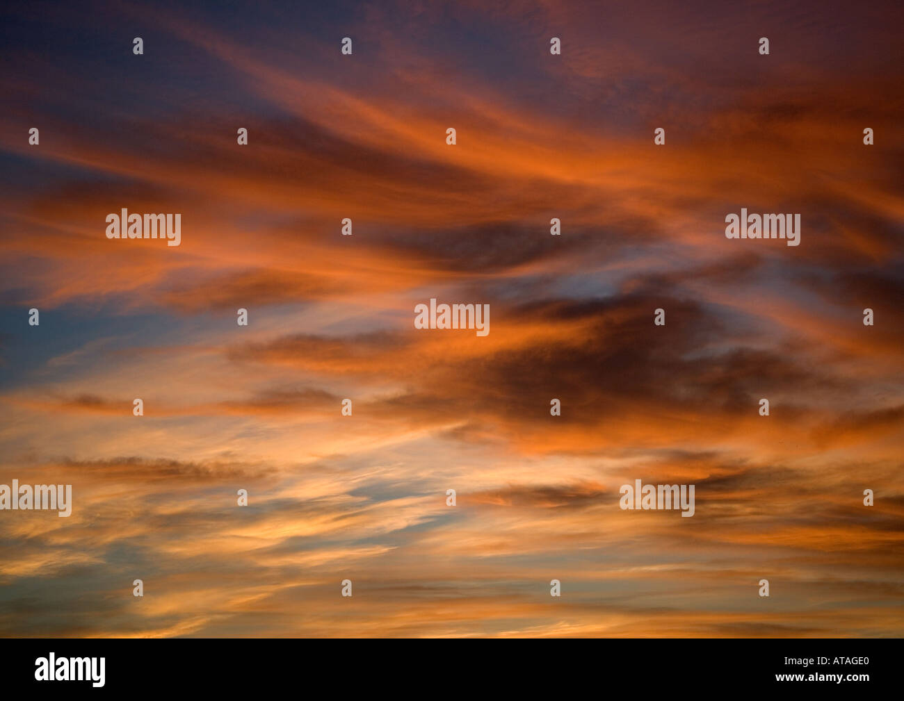 Norfolk uk december hi-res stock photography and images - Alamy