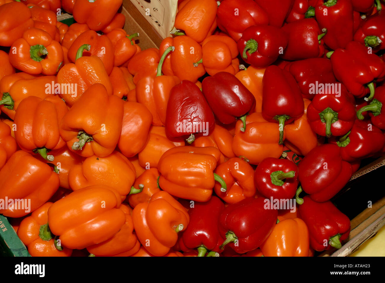 RED PEPPERS "market garden Stock Photo - Alamy