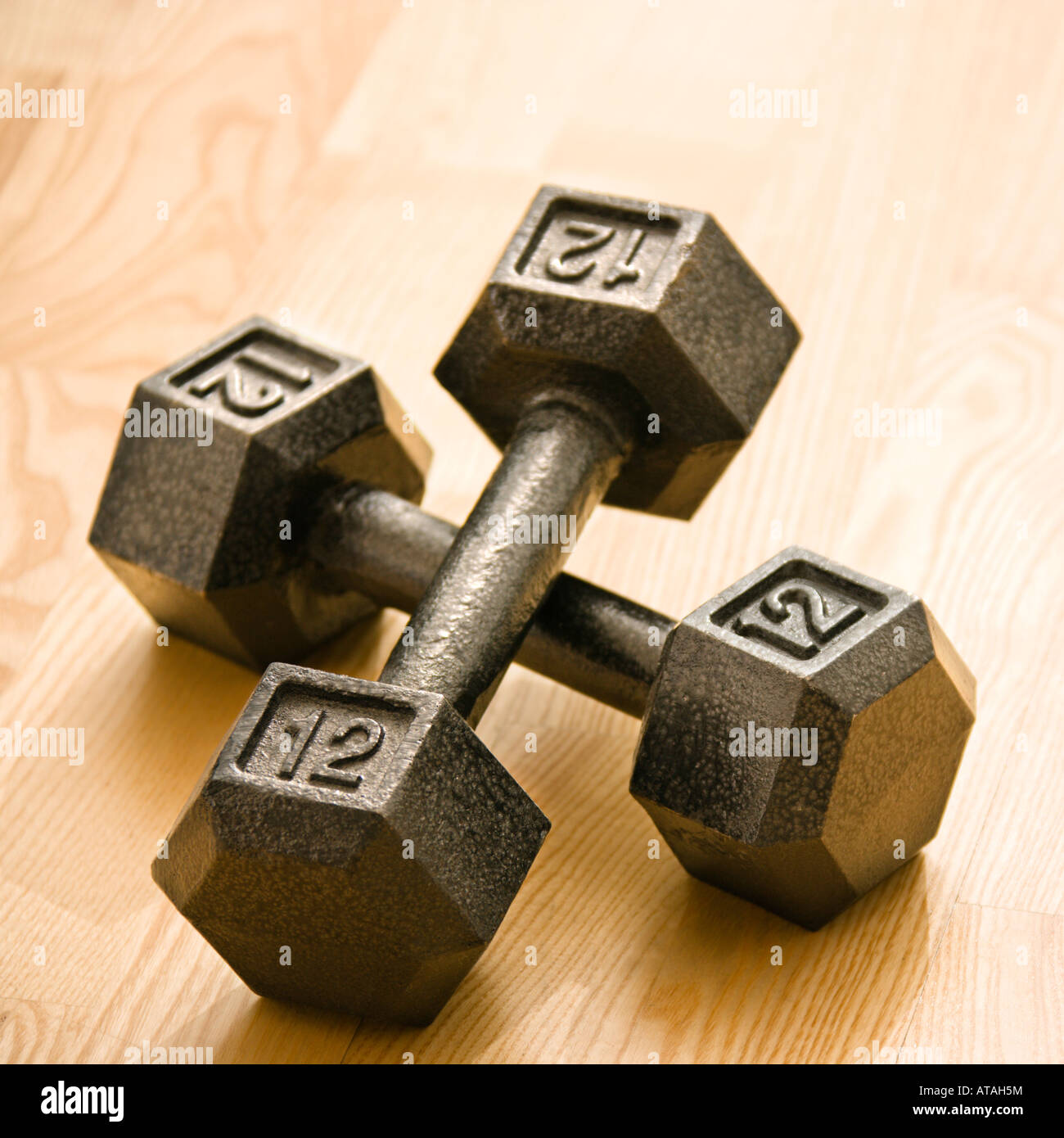 Twelve pound hand weights still life Stock Photo - Alamy