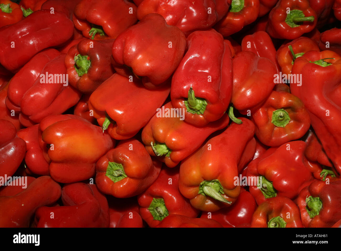 Colourful garden red peppers hi-res stock photography and images - Alamy