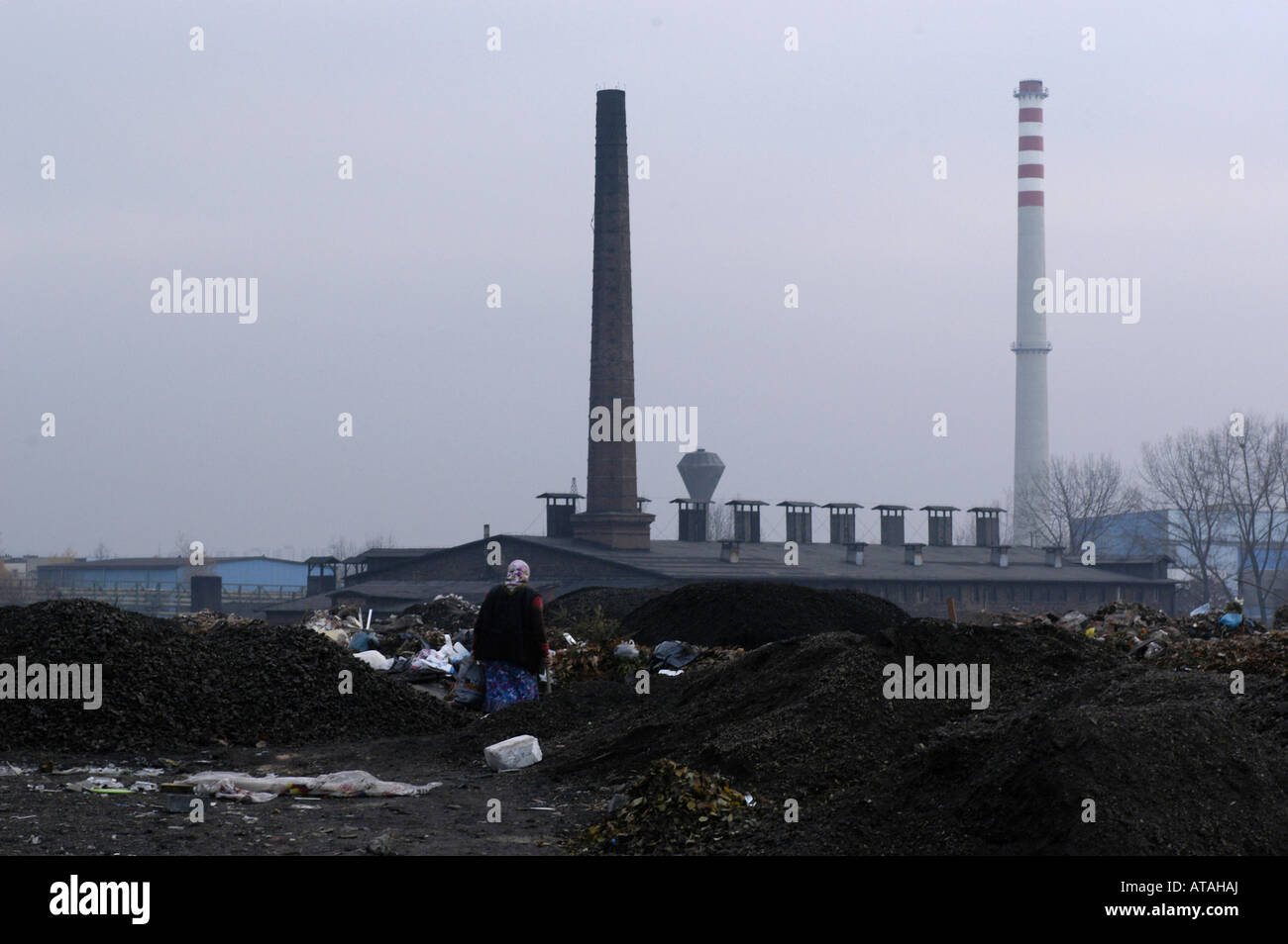 Woman at a waste disposal site, Poland Stock Photo - Alamy