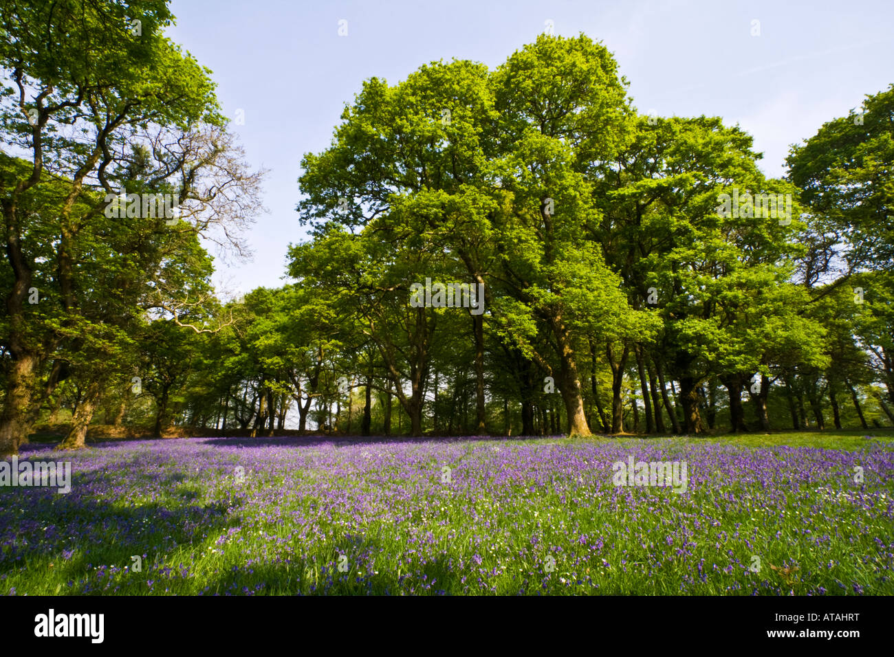 Spring break trips hi-res stock photography and images - Alamy