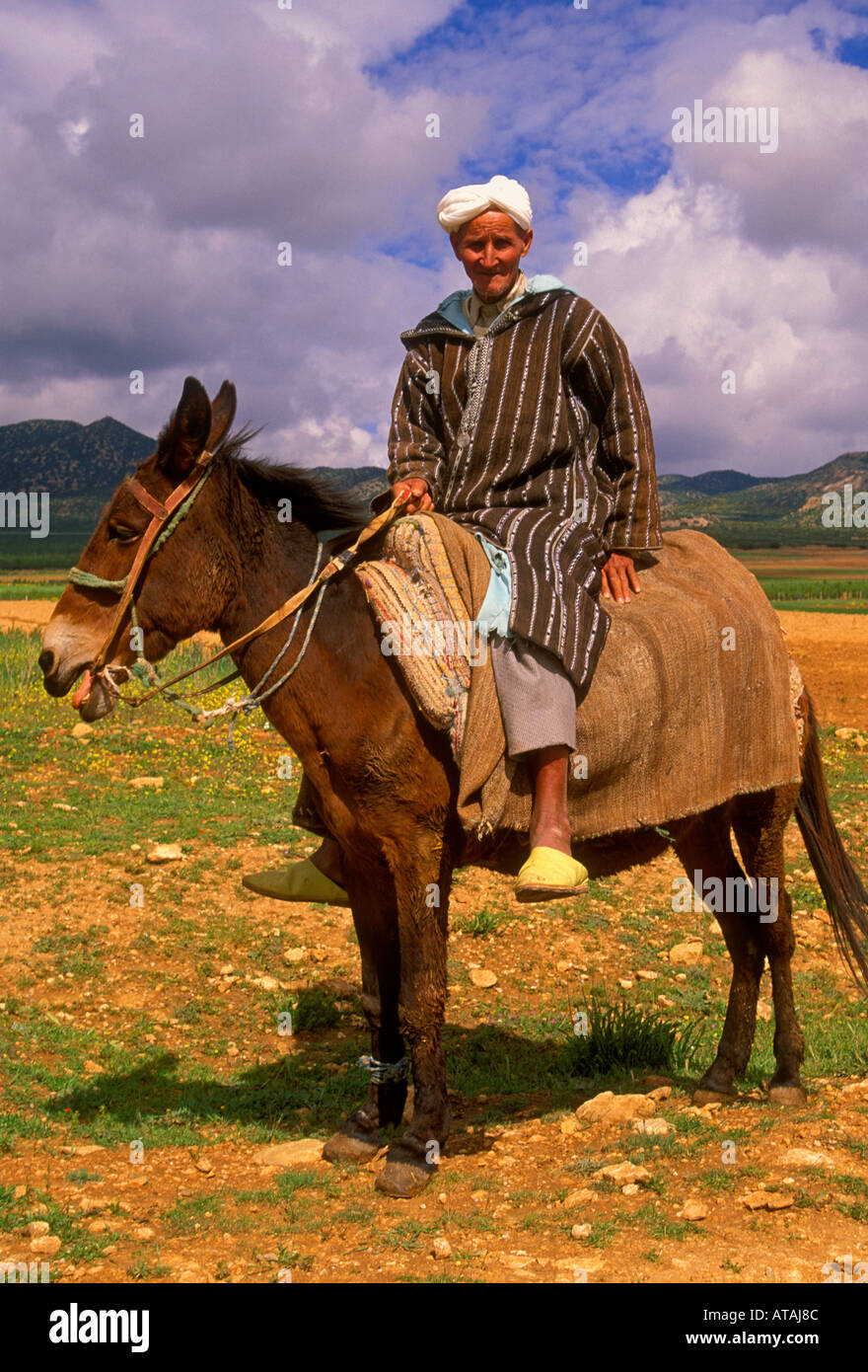1, one, Moroccan man, Moroccan, man, adult man, mature man, elderly man ...