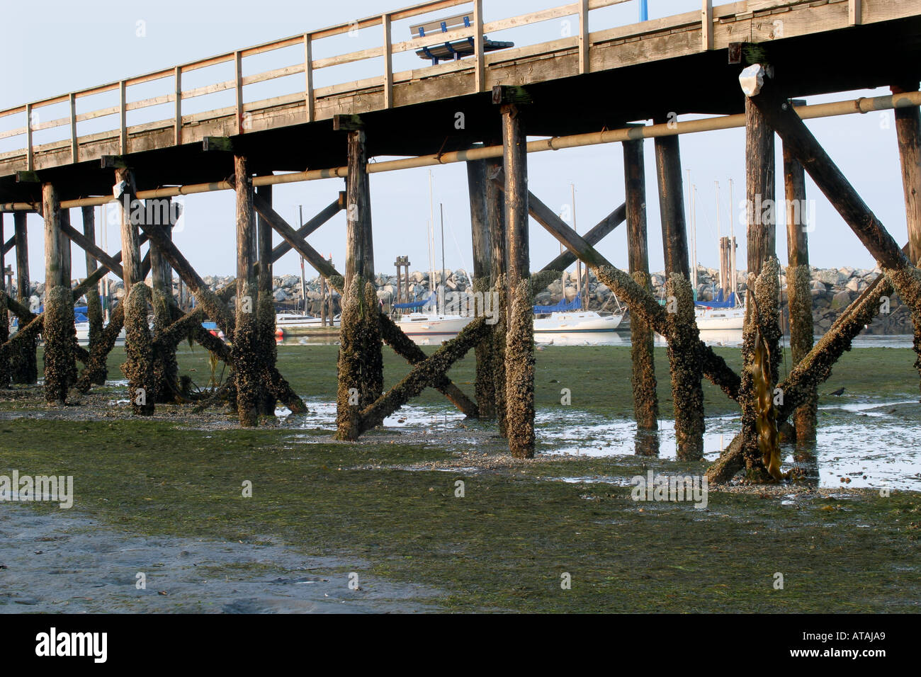 Parallel trestle bridges hi-res stock photography and images - Alamy