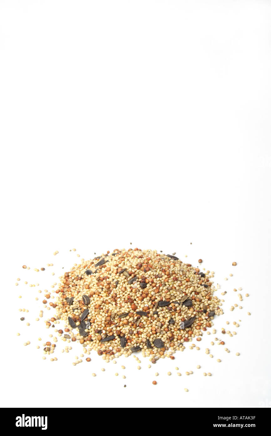 small pile of bird seed Stock Photo - Alamy
