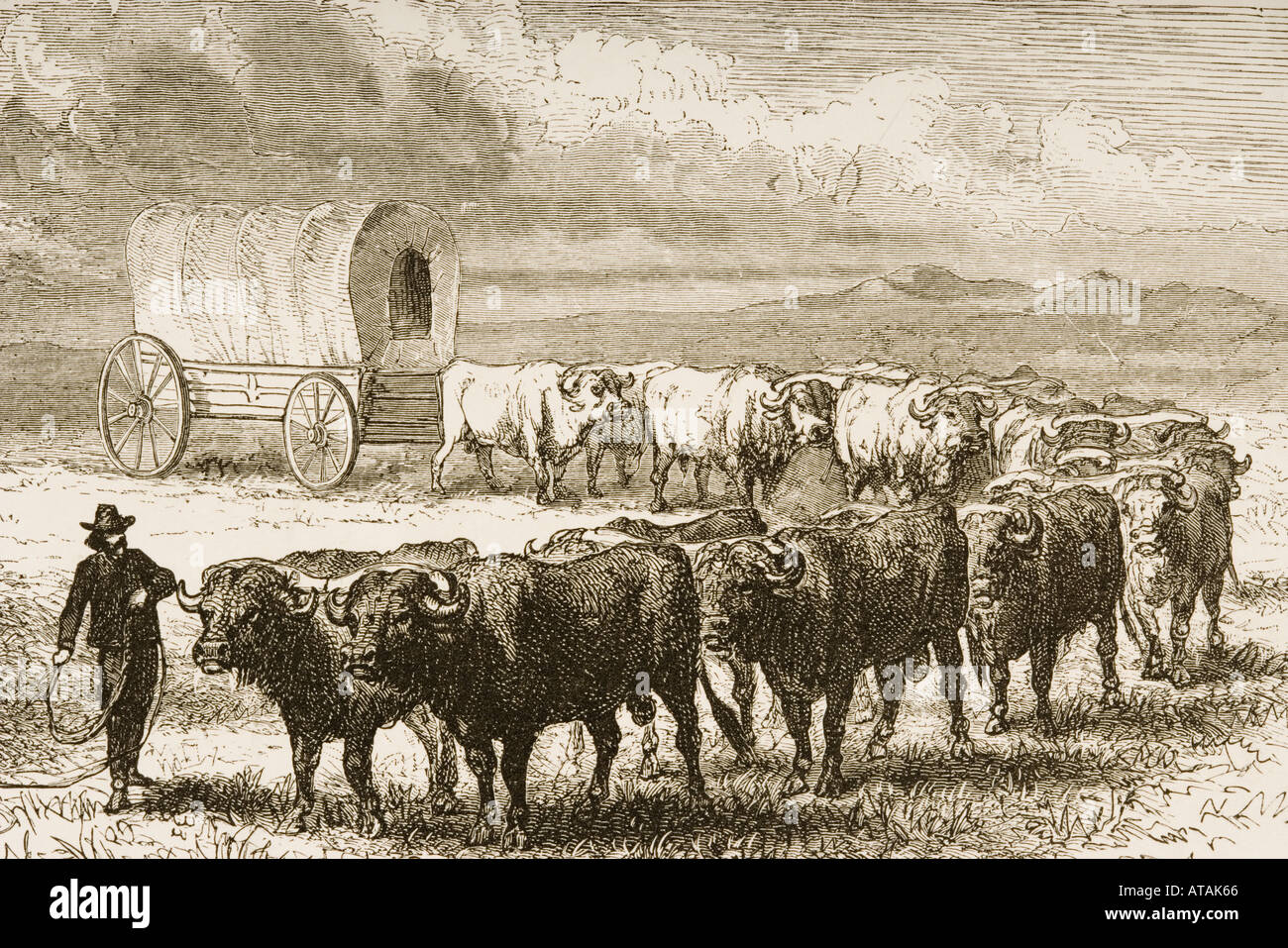 Great Plains Farming