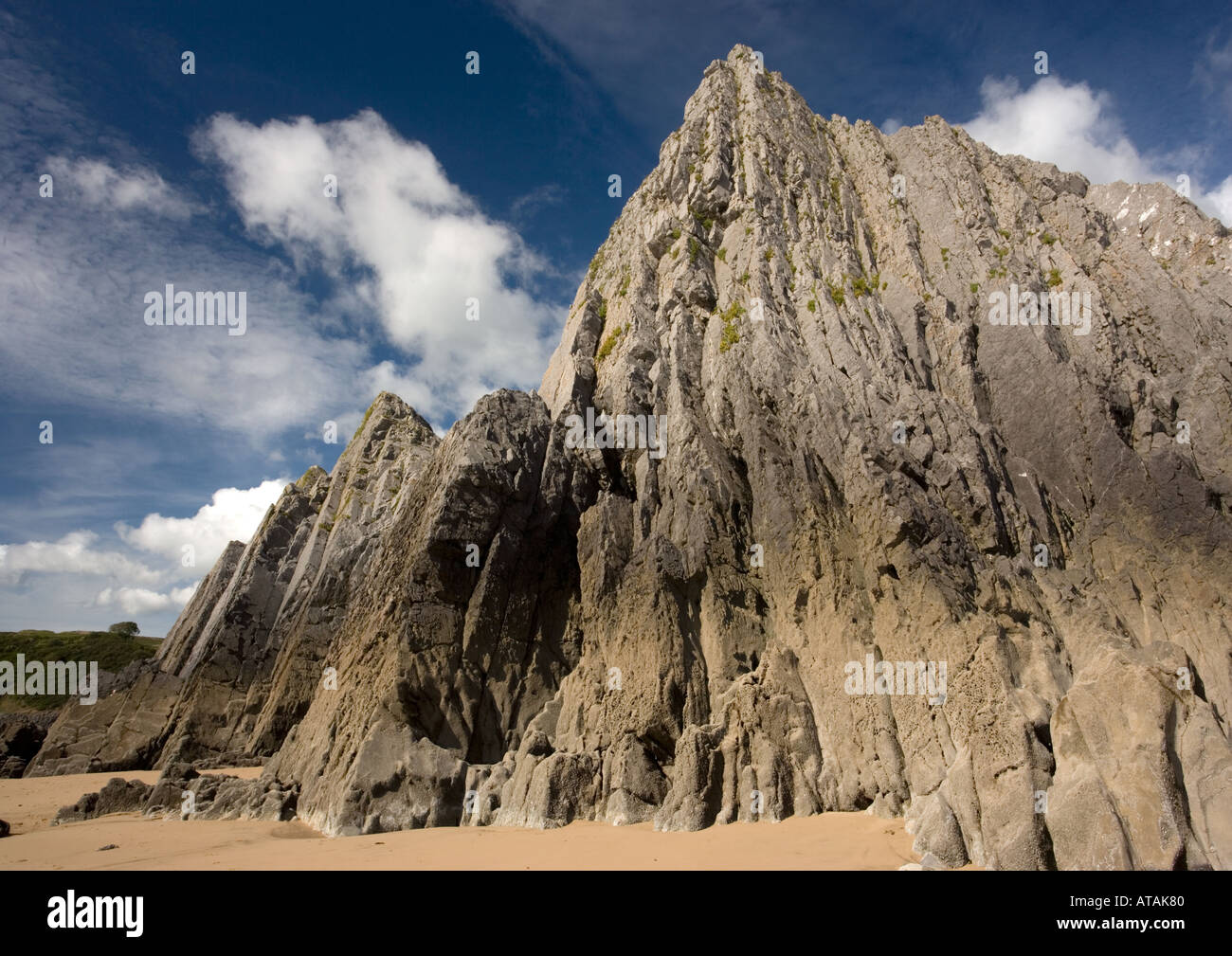Vertical folded limestone strata at Three Crowns Bay Gower peninsula ...