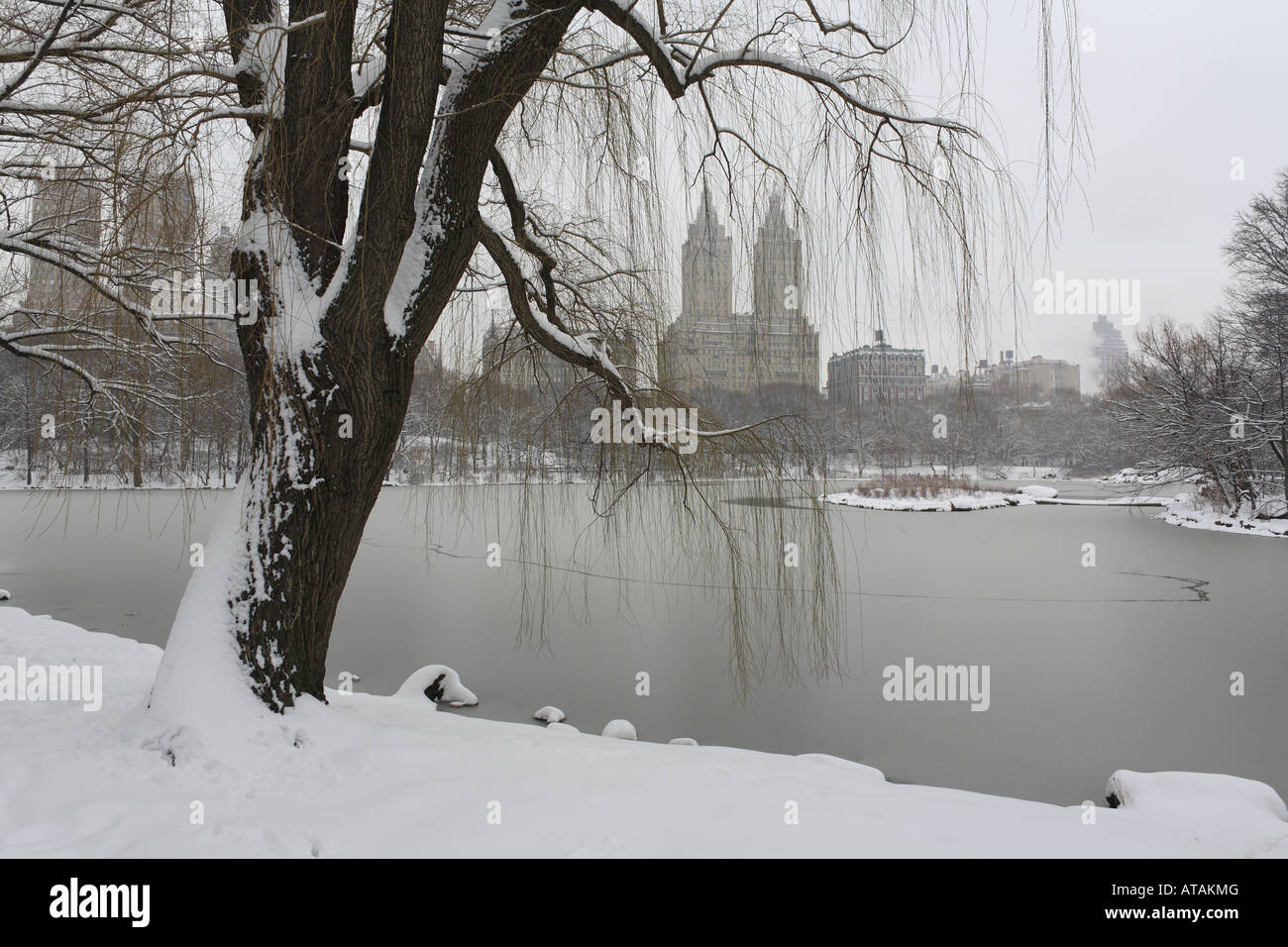Snow storm in central park Stock Photo - Alamy