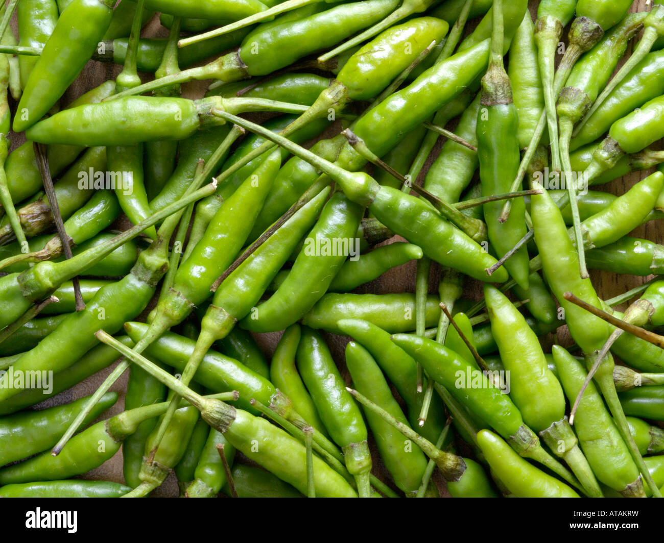 Chili pepper (Capsicum Stock Photo - Alamy