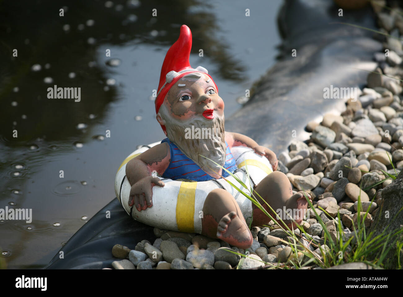 Garden dwarf hi-res stock photography and images - Alamy