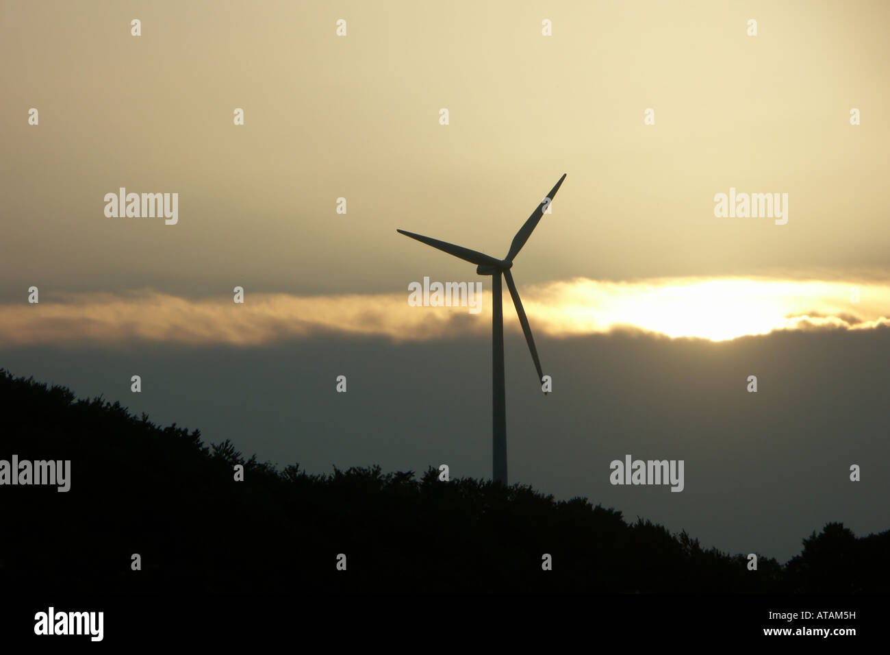 wind engines; wind turbines Stock Photo - Alamy