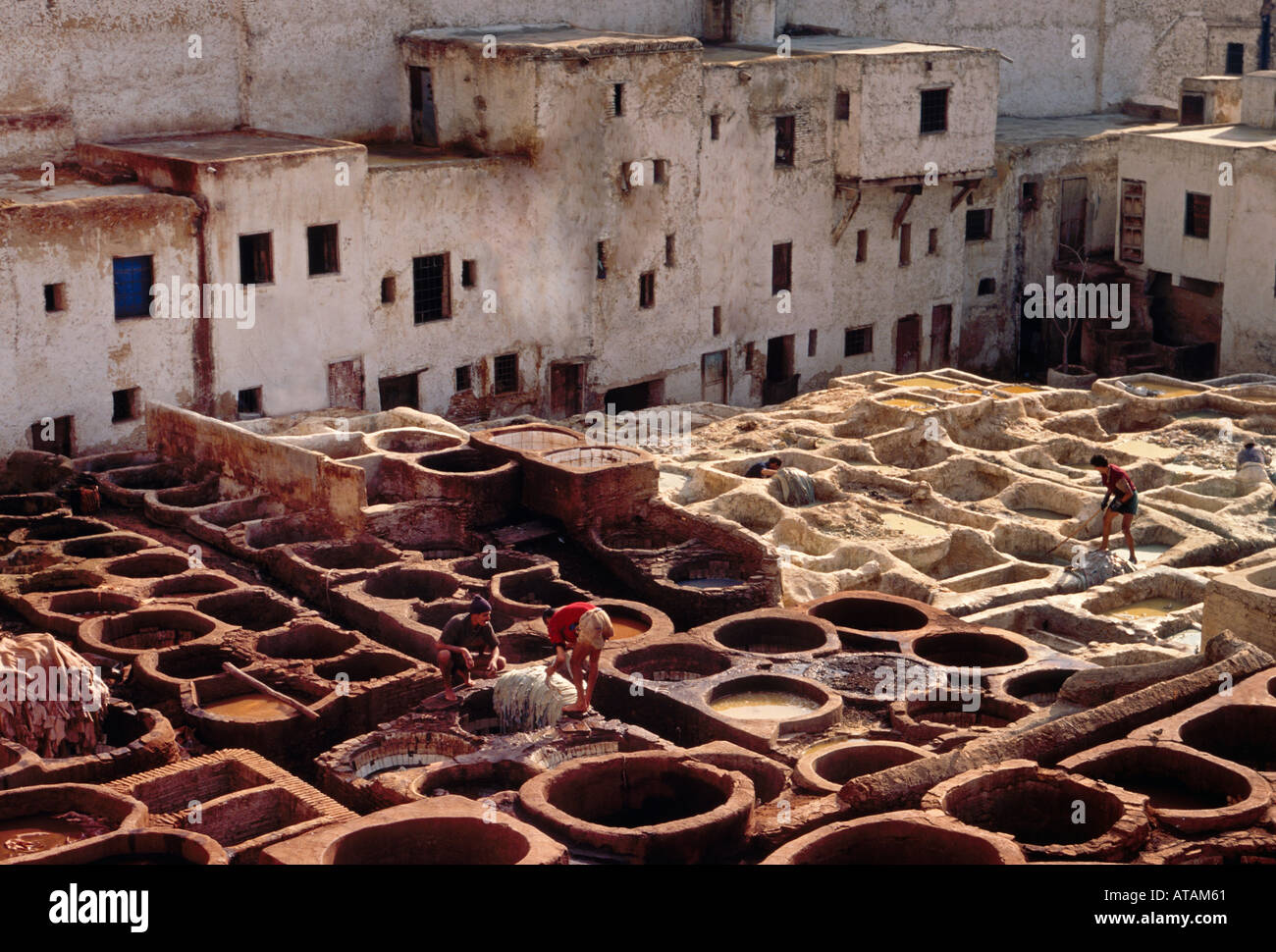 Moroccan, men, working, at work, Chouara Tannery, leather tannery ...
