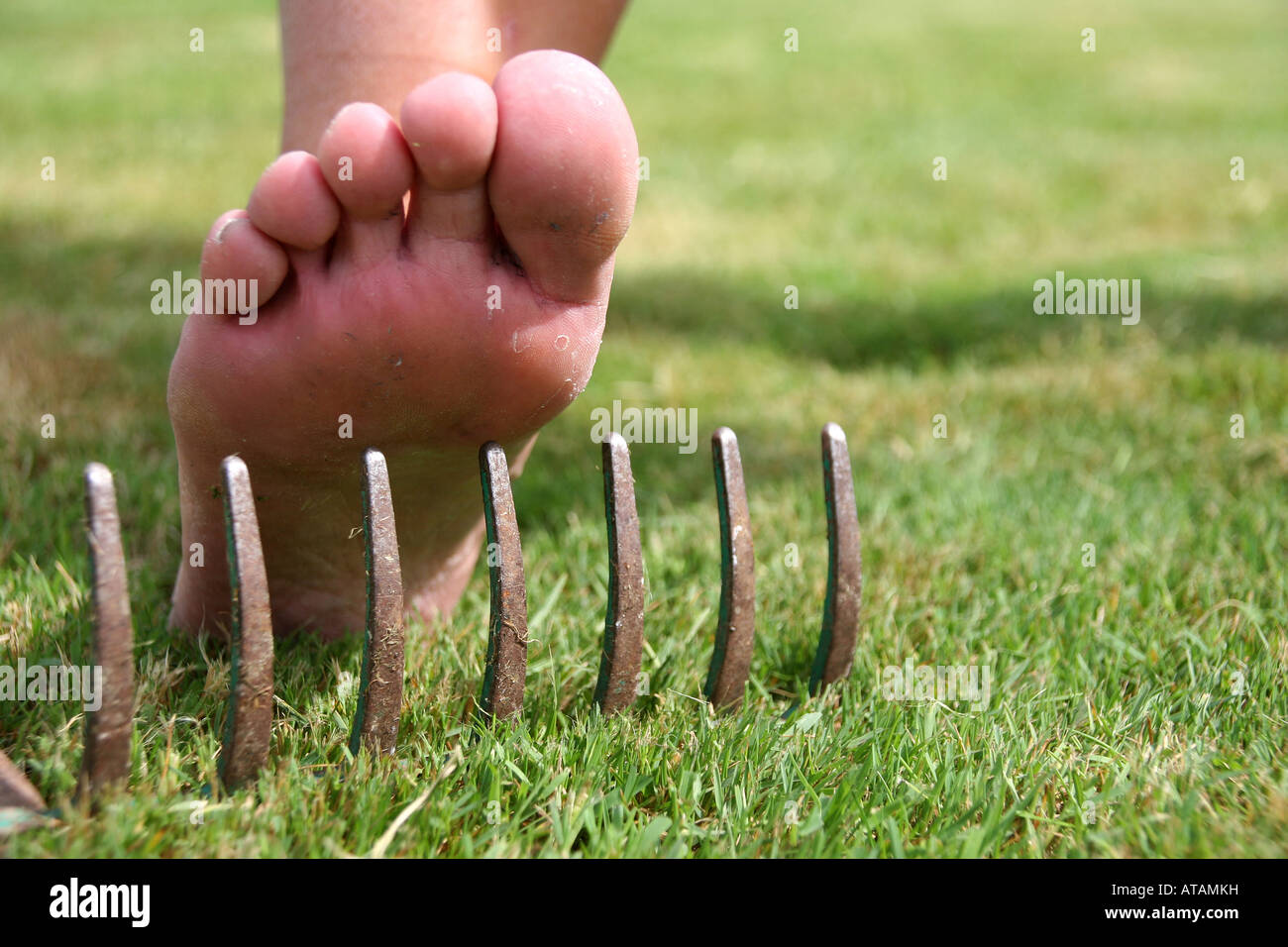 Person steps on rake in the garden Stock Photo - Alamy