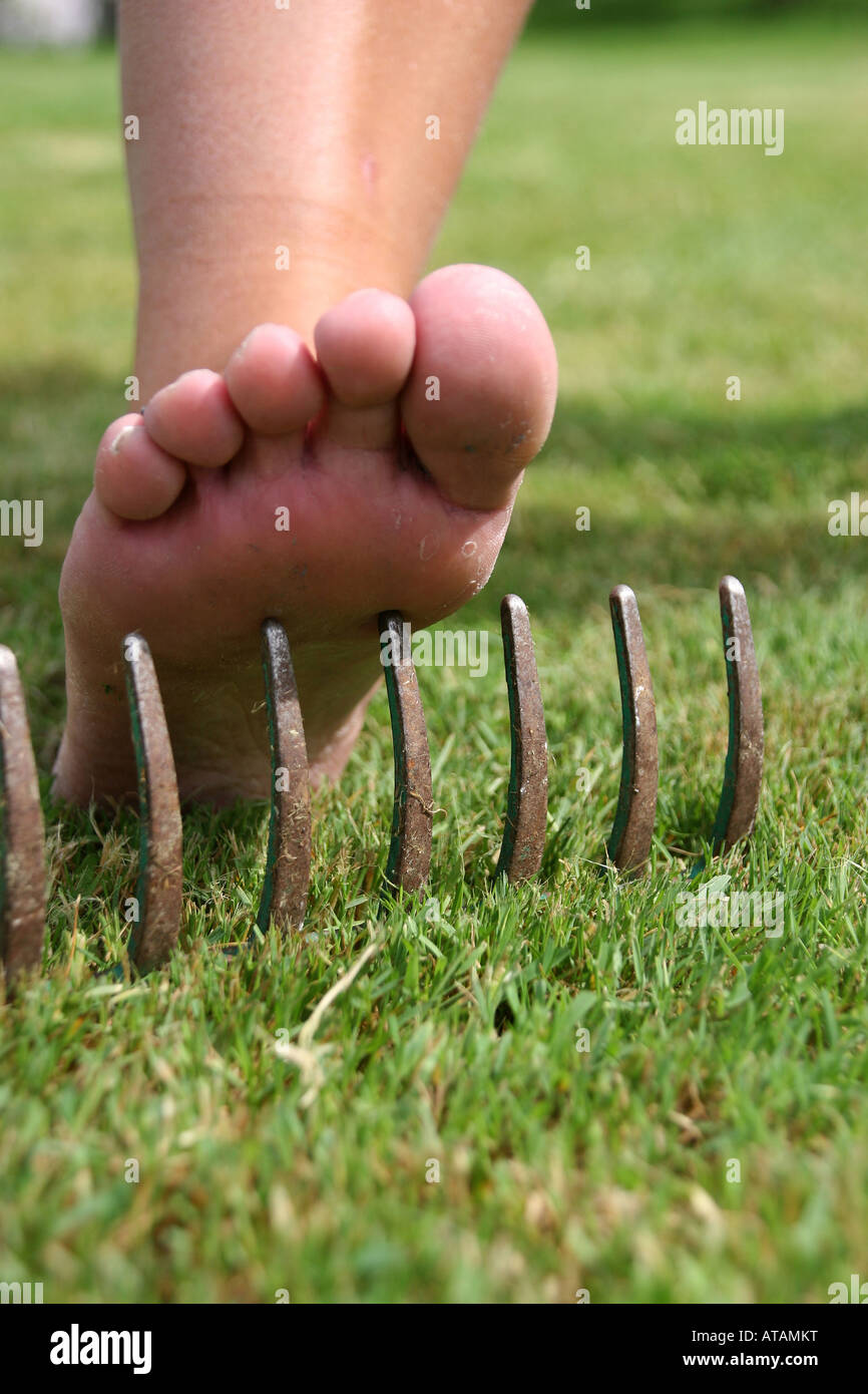 Person steps on rake in the garden Stock Photo - Alamy