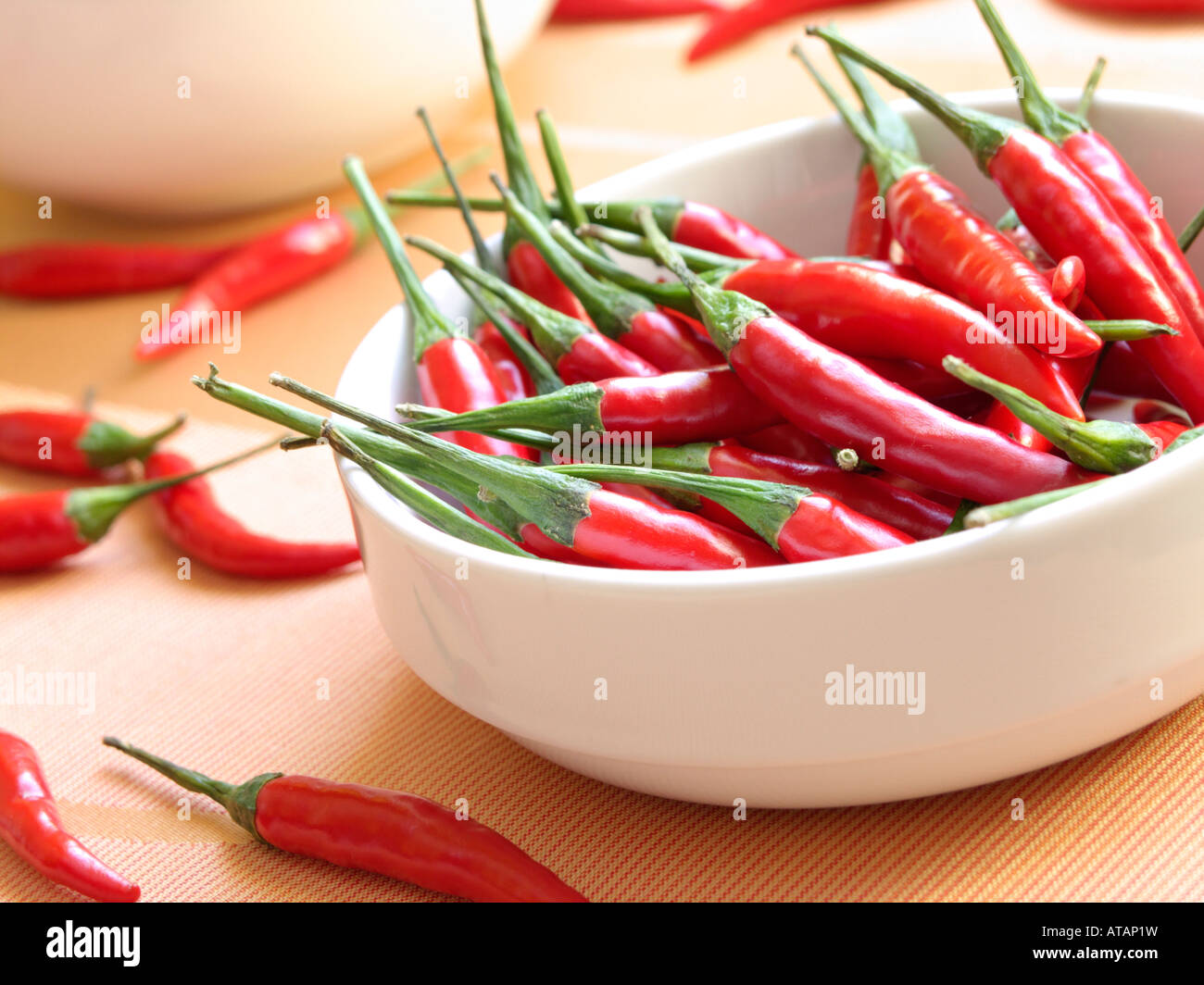 Chili pepper (Capsicum Stock Photo - Alamy