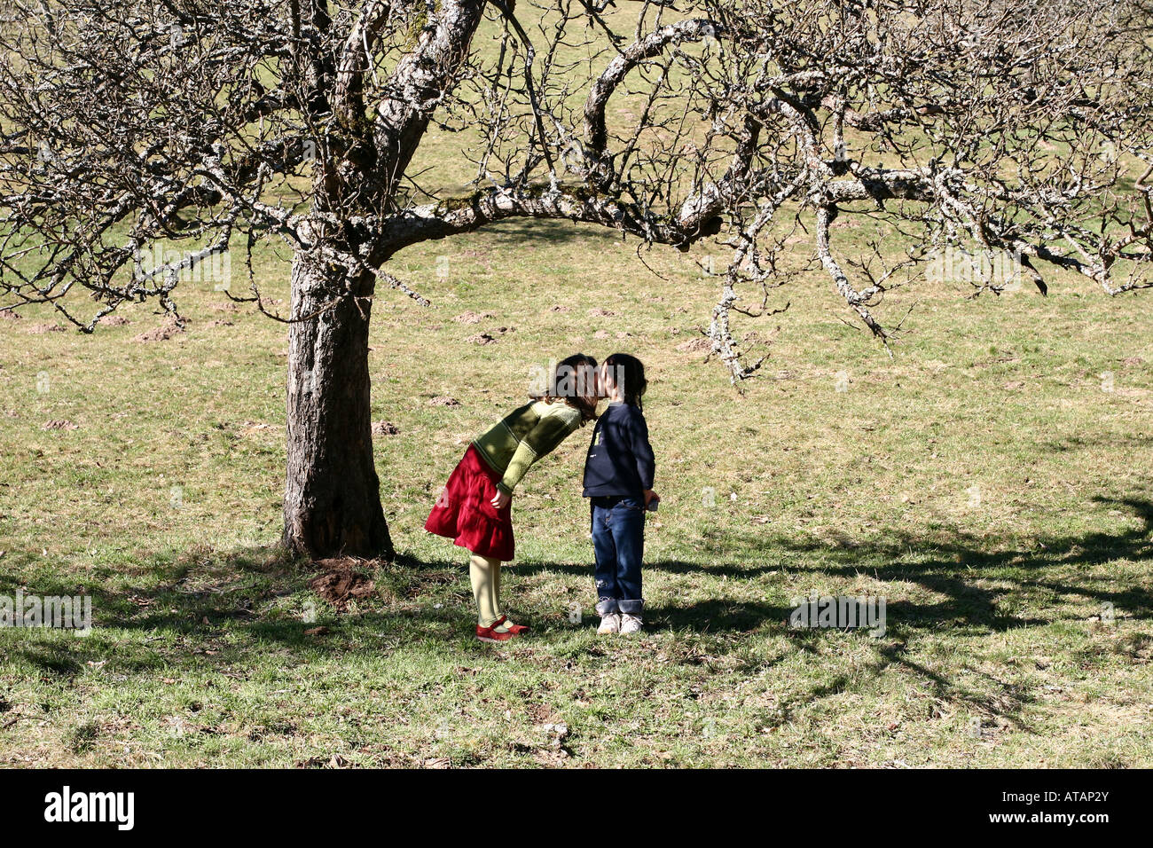 Girls kissing friends hi-res stock photography and images - Alamy