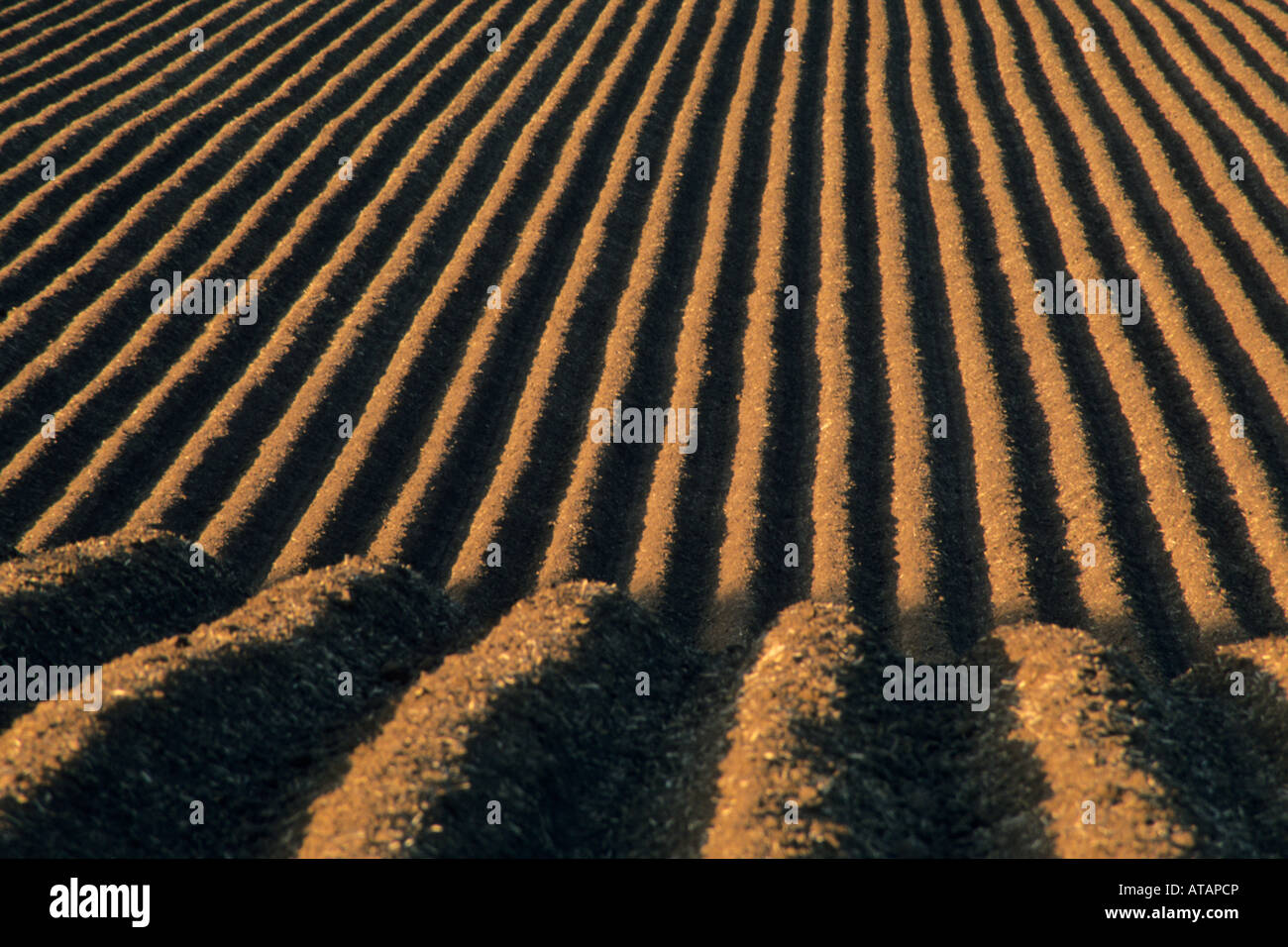 Plowed land in agricultural field hi-res stock photography and images ...