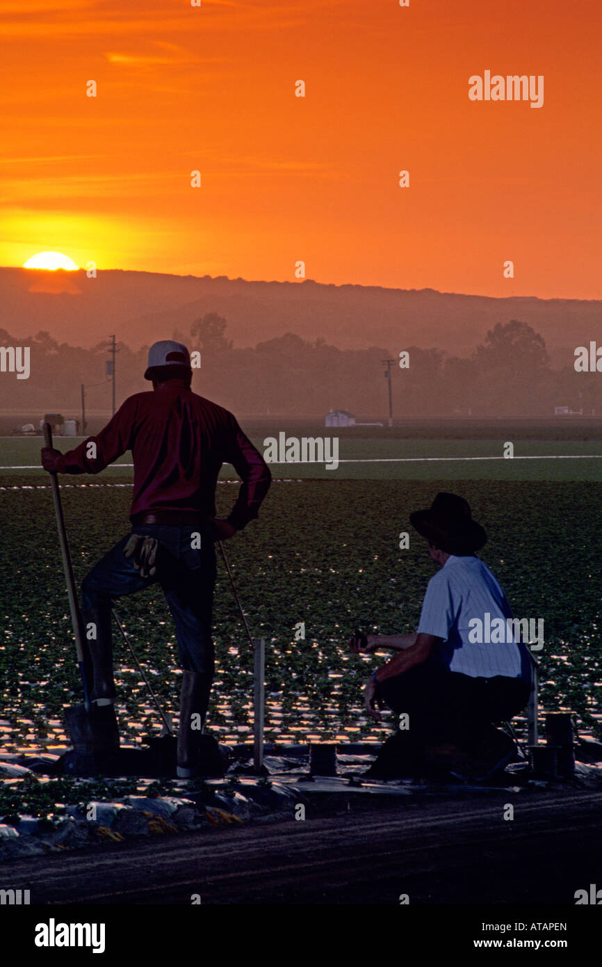 Sunset over giant painted tribute to migrant farm workers near Salinas ...
