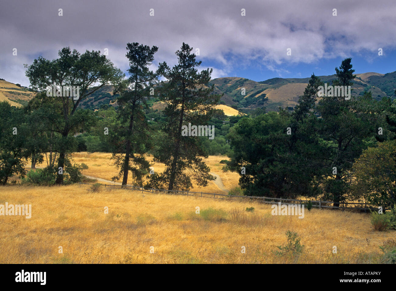 California golden hills hillside summer hi-res stock photography and ...